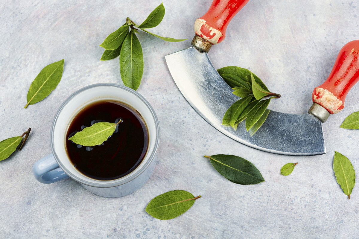 Les infusions et thés du terroir : un voyage entre bienfaits et ...